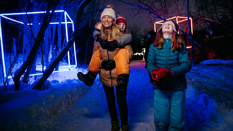 Porter Airlines | Toronto - Edmonton Flights from CAD124